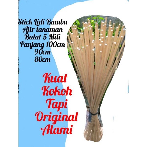 Jual stick Bambu penyangga tanaman 100cm 5 Mili bulat 25 pcs | Shopee ...