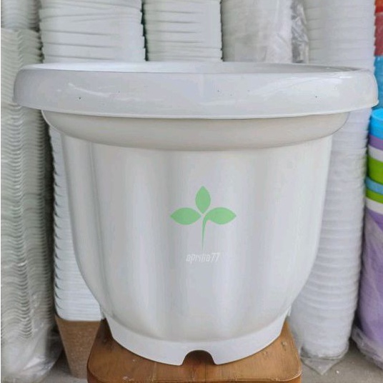 Jual POT BESAR 50 | POT BUNGA JUMBO | Shopee Indonesia
