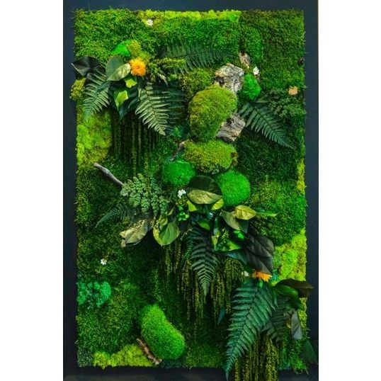 Jual Moss Wall Lumut Dinding 40x40cm | Shopee Indonesia