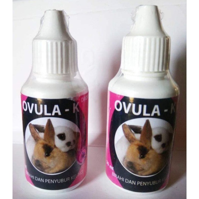 Jual OVULA K OBAT BIRAHI KELINCI 30ML OBAT PENYUBUR KELINCI OBAT UNTUK ...