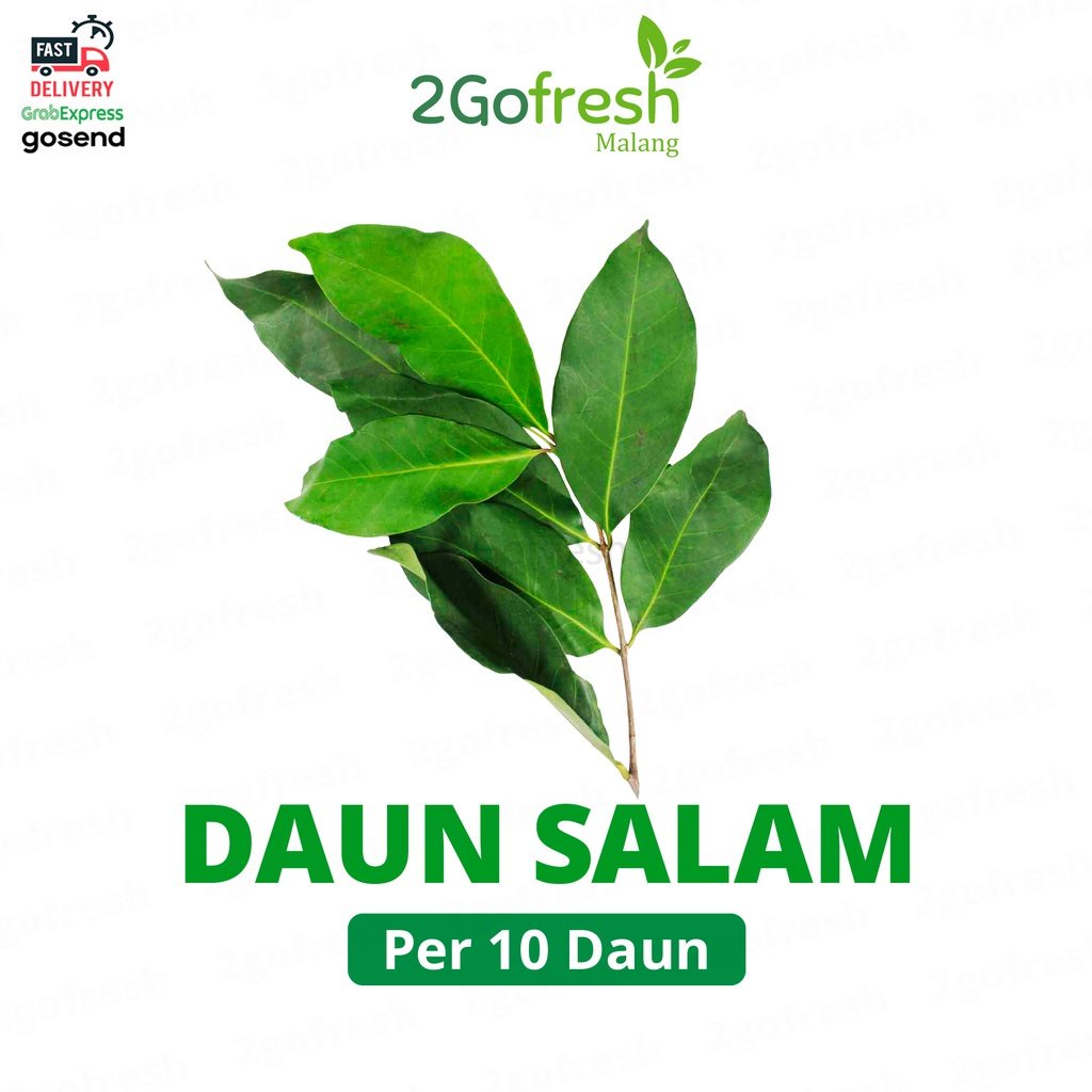 Jual Daun Salam Fresh - Sayur Sayuran | Shopee Indonesia