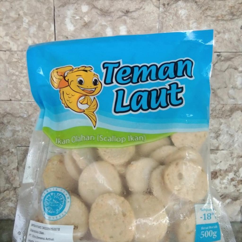 Jual TEMAN LAUT SCALLOP IKAN 500 GR | Shopee Indonesia