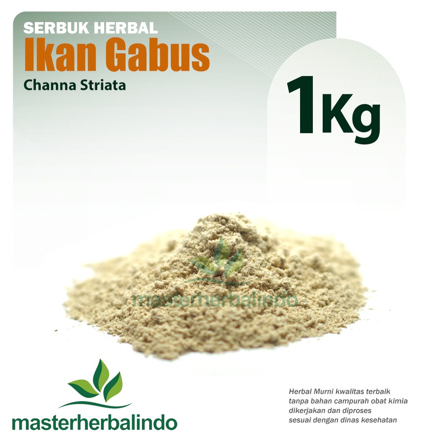 Jual Serbuk extract Gabus Kutuk Penyembuh Luka Pasca Operasi Diabetes ...