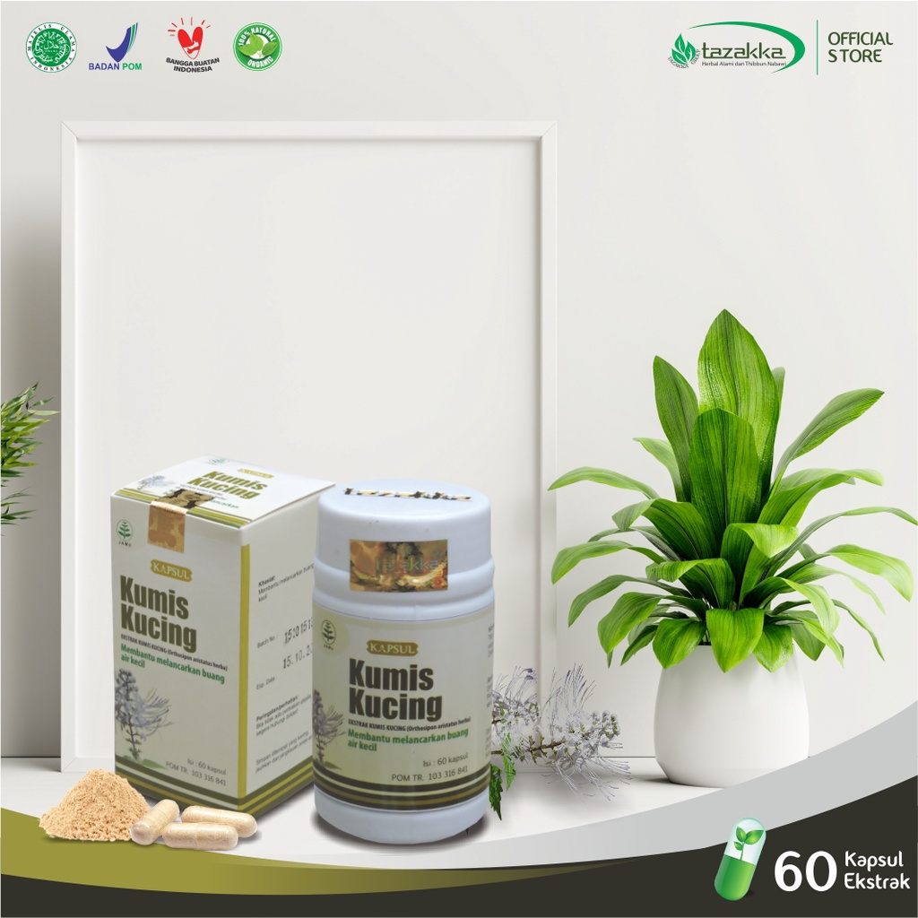 Jual DAUN KUMIS KUCING Ekstrak Herbal Tazakka Original Isi 60 Kapsul ...