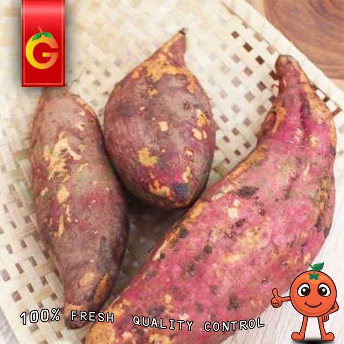 Jual UBI MERAH FRESH 1 KG | Shopee Indonesia