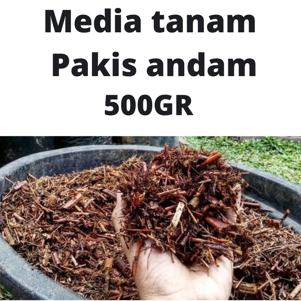 Jual Media tanam Pakis andam 500gr | pakis cacah | Shopee Indonesia