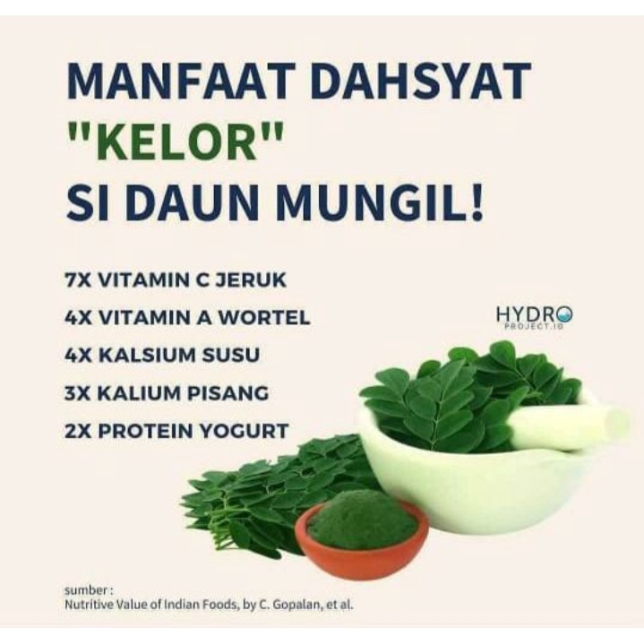 Jual KAPSUL DAUN KELOR ISI 60 -- ANTI TUMO/KANKER, MEMPERLANCAR ASI ...