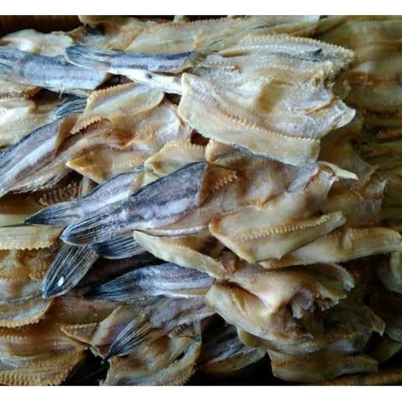 Jual gabus besar segar dan gres 1kg | Shopee Indonesia