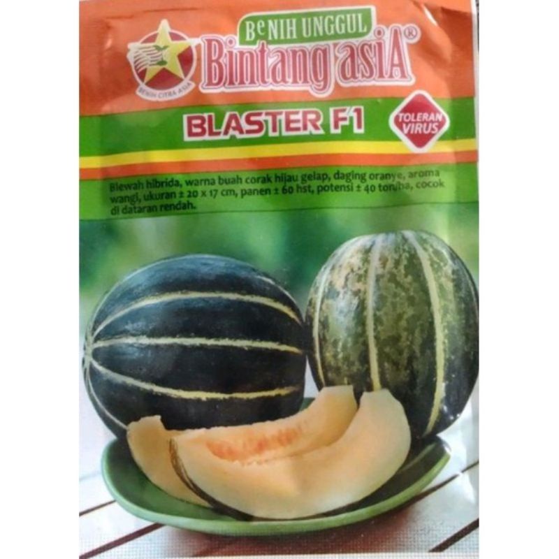 Jual BENIH BLEWAH BLASTER HIBRIDA - BIBIT TAHAN SIMPAN DAN VIRUS BINTNG ...