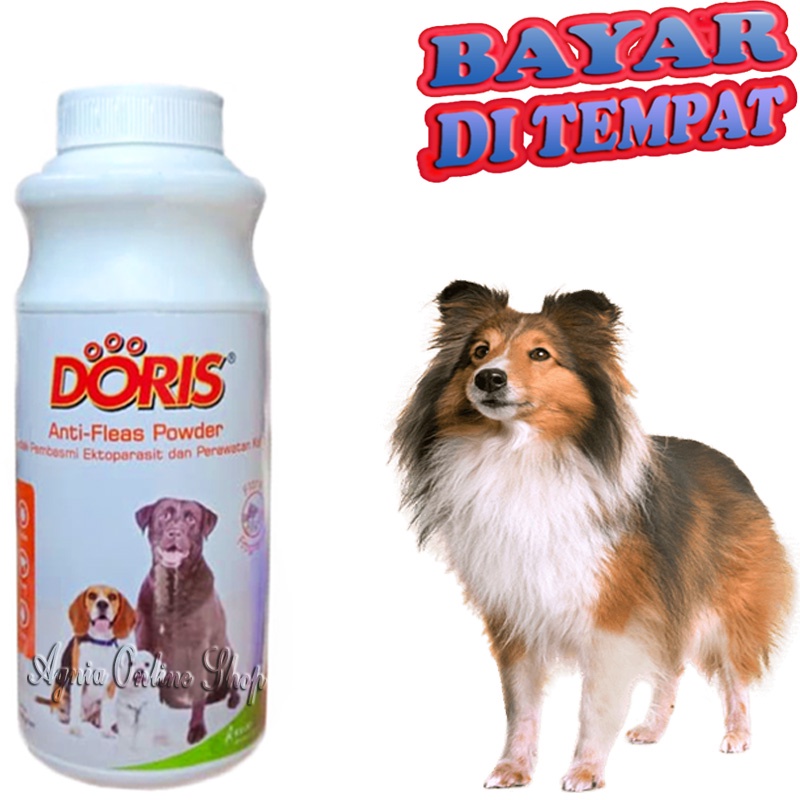 Jual Bedak Anti Kutu Anjing DORIS DOG Pembasmi Parasit Serangga Tungau ...