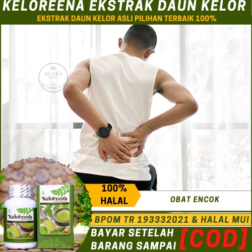 Jual Obat Encok, Pinggang Encok, Tulang Punggung Nyeri, Obat Sakit ...