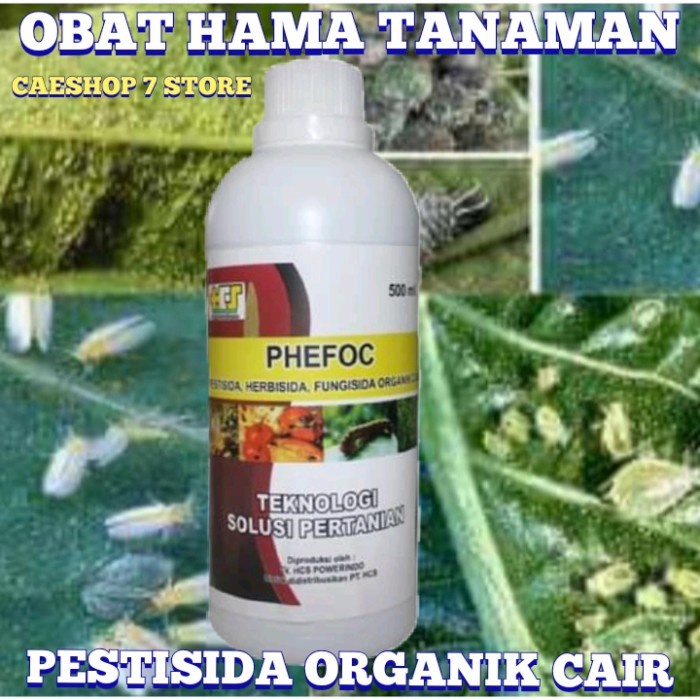 Jual Bagus Pestisida Organik obat kutu putih tanaman PHEFOC Obat Hama ...