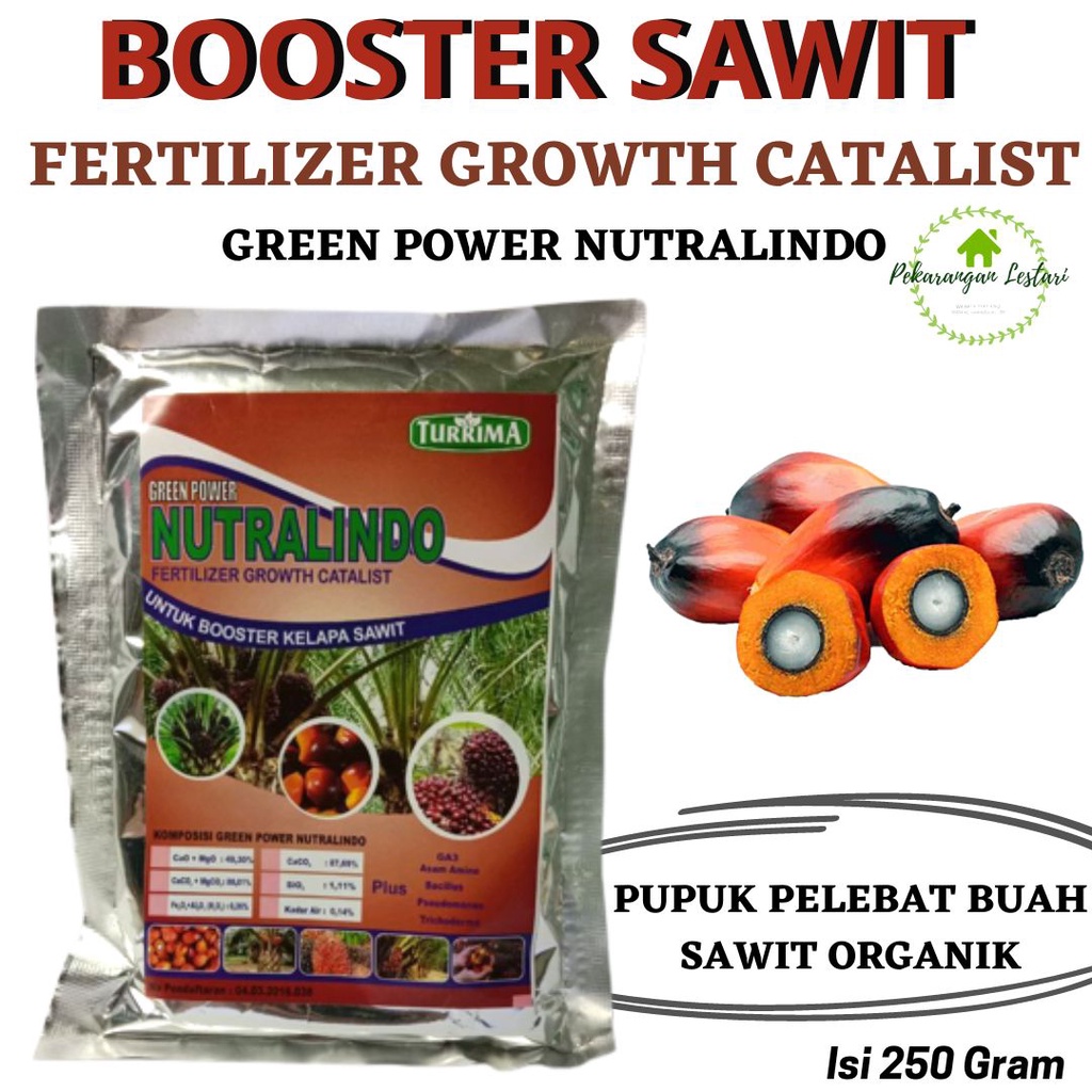 Jual Pupuk Booster Kelapa Sawit Agar Buah Besar, Pupuk Organik Untuk ...
