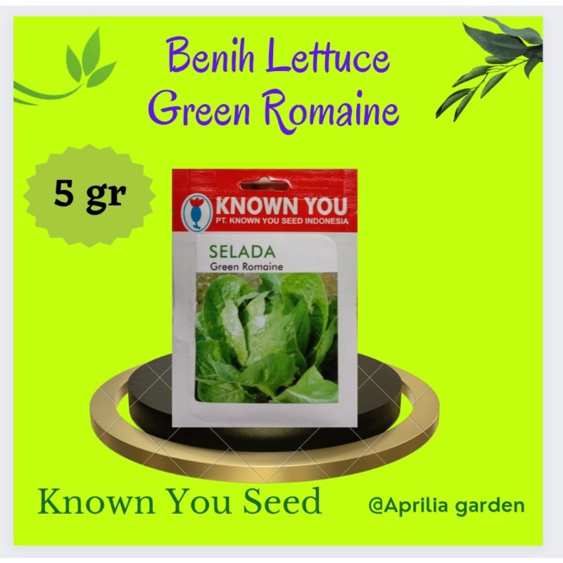 Jual Benih Selada Lettuce Green Romaine 5gr Original Known You Seed | Shopee Indonesia
