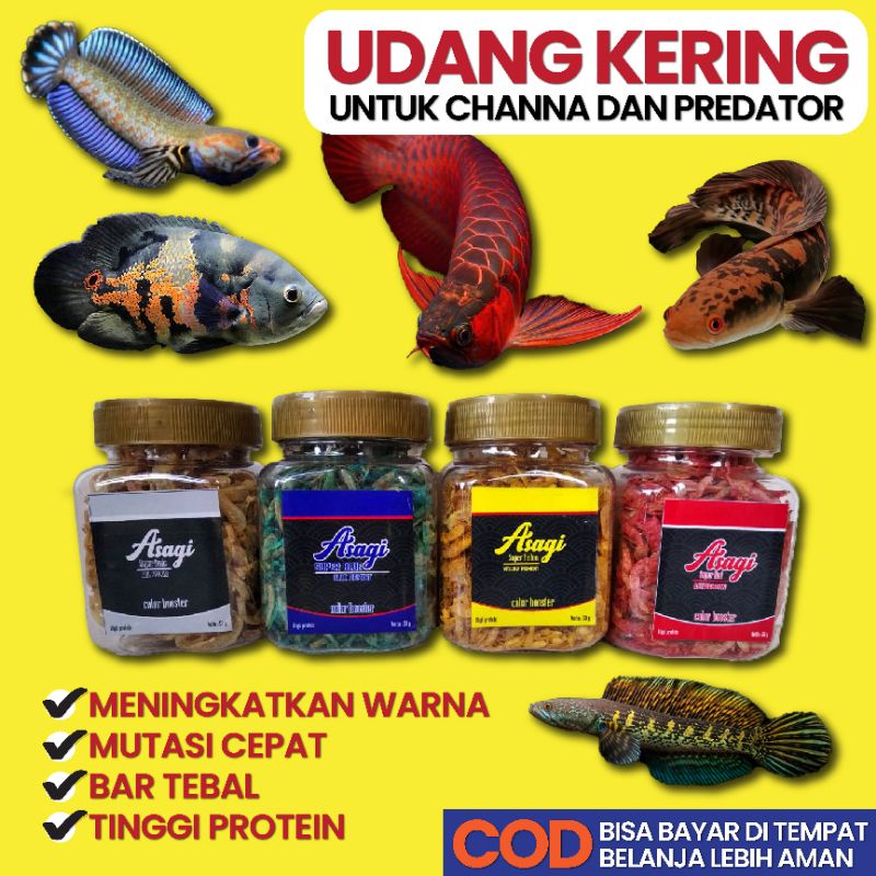 Jual Pelet channa pakan channa Asagi Udang Carophyll Red / Blue ...