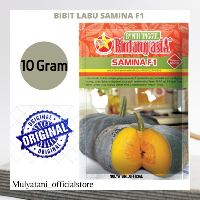 Jual Bibit Benih Labu Waluh Samina F1 10 Gram Original Cap Bintang Asia ...