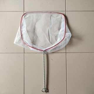 Jual seser serok ikan hias ikan air tawar ikan air laut ukuran 30cm ...