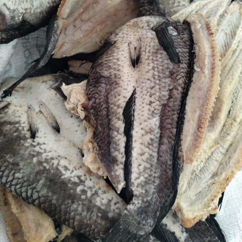 Jual Ikan Asin Gabus Jambal Kering Asli Tanpa Pengawet 100 Gram ...
