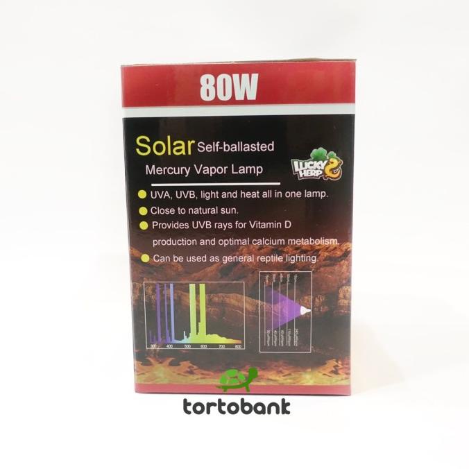 Jual LAMPU UVA UVB MERCURY VAPOR LAMP 80 WATT LUCKY HERP - MIRIP SOLAR GLO | Shopee Indonesia