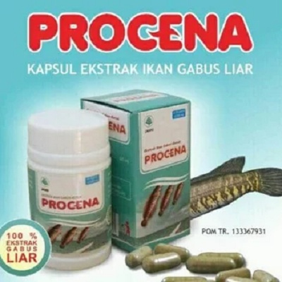 Jual PROCENA EKSTRAK IKAN GABUS 60 KAPSUL / ikan kutuk | Shopee Indonesia