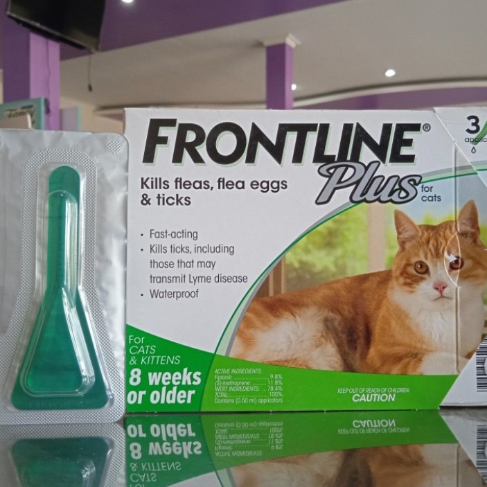 Jual obat tetes kutu kucing frontline/frontline plus/obat kutu tetes ... Jual obat tetes kutu kucing frontline/frontline plus/obat kutu tetes ...
