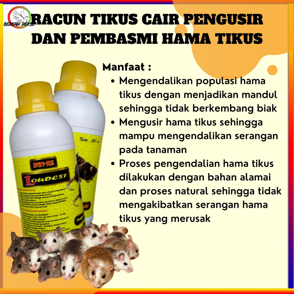 Jual LOUDEST ORIGINAL ASLI RACUN TIKUS CAIR EFEKTIF MENGUSIR DAN ...