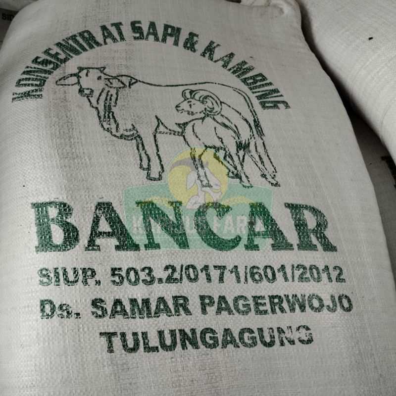 Jual Konsentrat Bancar / Konsentrat Super untuk Sapi dan Kambing 1kg ...