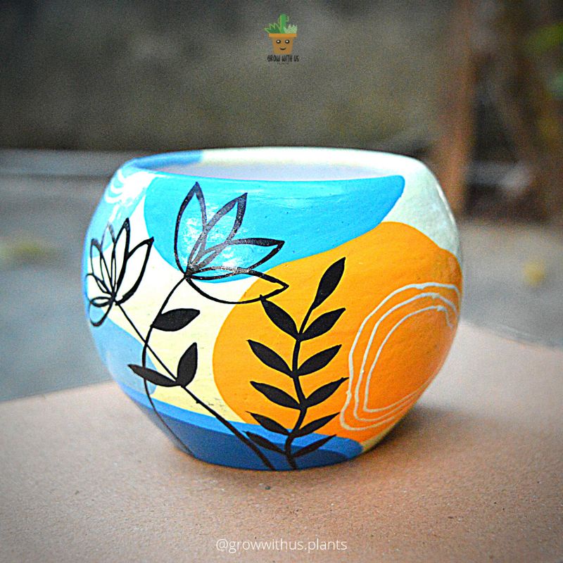 Jual Pot Kaktus Sukulen Haworthia Lukis 8cm (J) | Shopee Indonesia