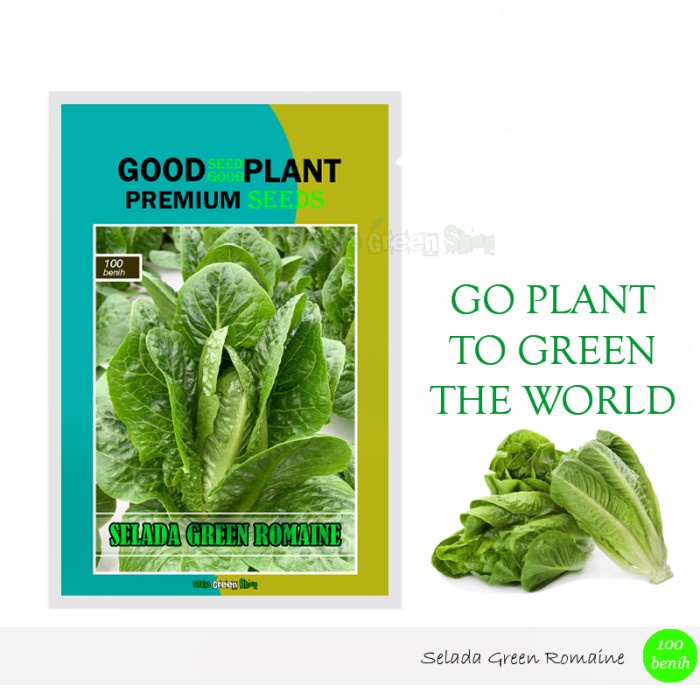 Jual 100 biji - Benih Bibit Sayuran Selada Green Romaine Island F1 Premium | Shopee Indonesia