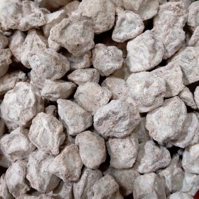 Jual buah kiamboy putih asin 250gram | Shopee Indonesia