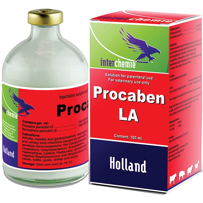 Jual TMC / Procaben LA 100 ml / Injeksi Antibiotik Penicillin Long ...