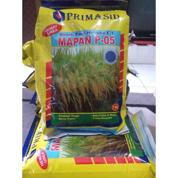 Jual BENIH PADI MAPAN 05 (1KG) 100% ASLI | Shopee Indonesia