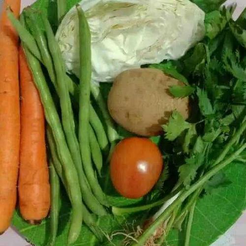 Jual Paket Sayur | Shopee Indonesia