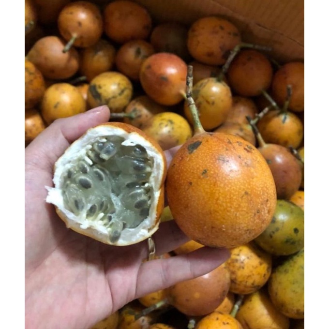 Jual BUAH MARKISA MANIS SEGAR / 1KG | Shopee Indonesia