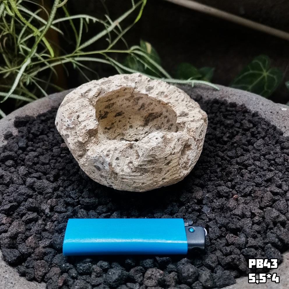 Jual Pot batu apung/batu alam mini stone pot tjakep.id | Shopee Indonesia