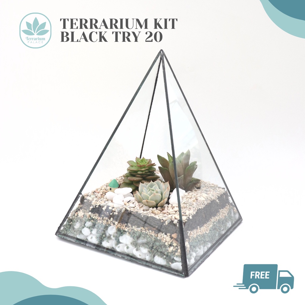 Jual PLANTING KIT HAMPERS PREMIUM KAKTUS SUKULEN KADO ULANG TAHUN ...