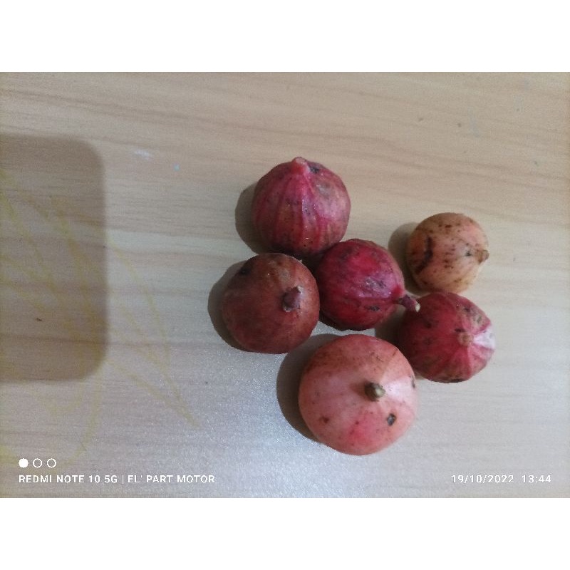 Jual BUAH LOA SEGAR 500 GRAM | Shopee Indonesia