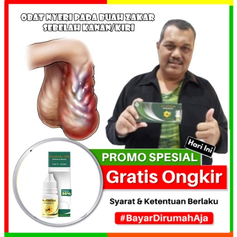 Jual Obat Nyeri Pada Buah Zakar Sebelah Kanan/Kiri | Penghilang ...