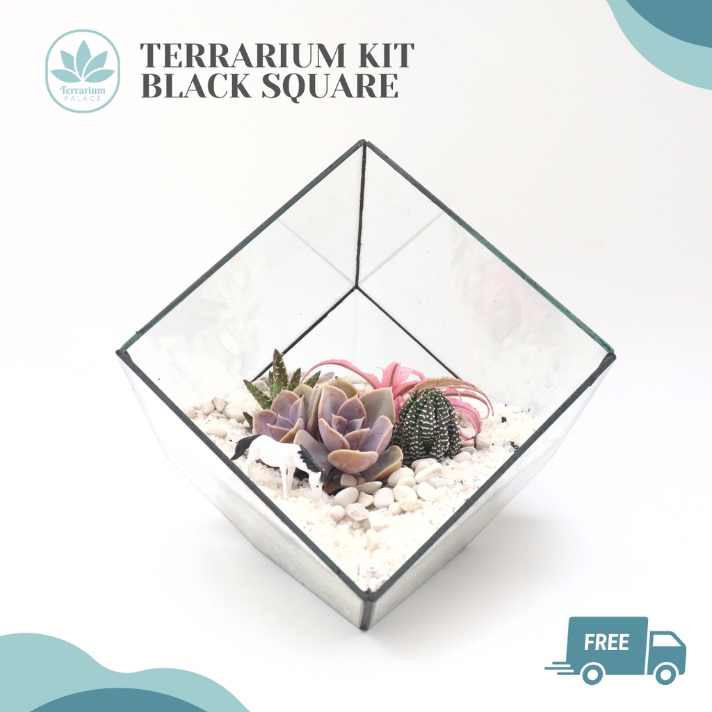 Jual PLANTING KIT HAMPERS PREMIUM KAKTUS SUKULEN KADO ULANG TAHUN ...