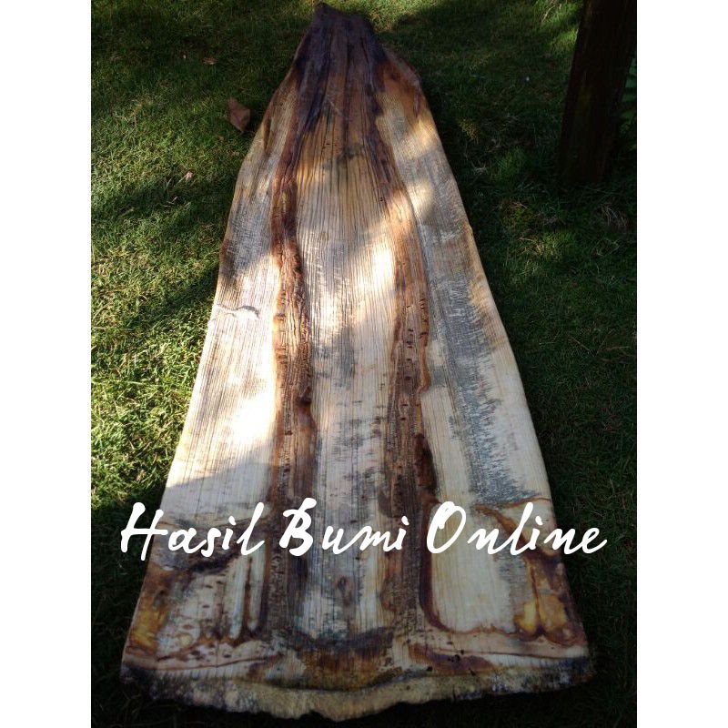 Jual Pelepah Pohon Pinang Panjang 40cm Lebar 25cm Bahan Kerajinan ...