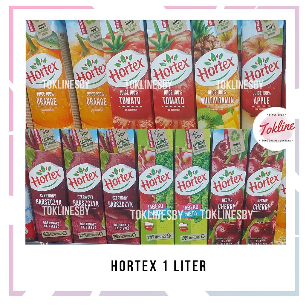 Jual HORTEX 1 liter 1 L Fruit Juice Jus Buah Beet Jeruk Apple Mint ...