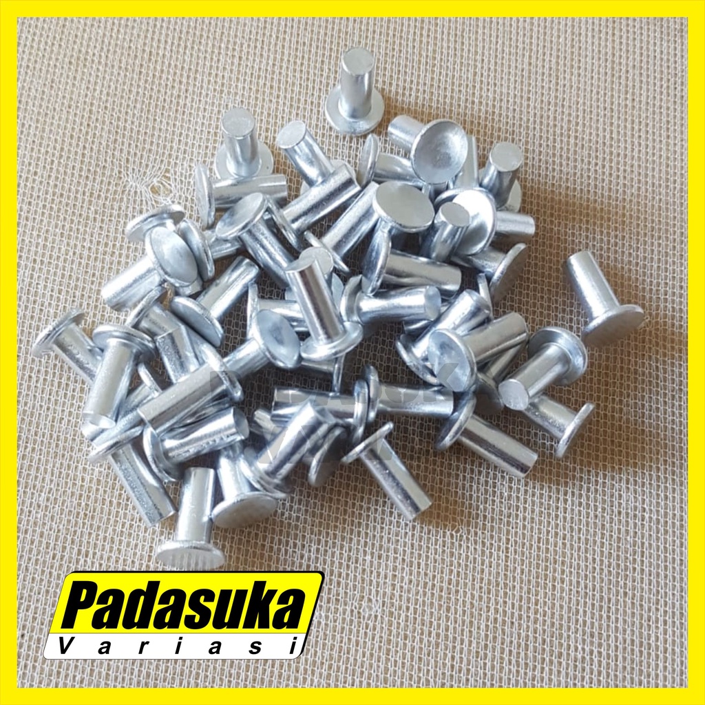 Jual Paku Pirodo Besar Kecil PS125 Paku Kampas Rem Canter Dyna | Shopee ...