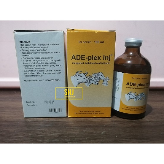 Jual ADE-PLEX INJEKSI/INJECTION 100ML | Shopee Indonesia