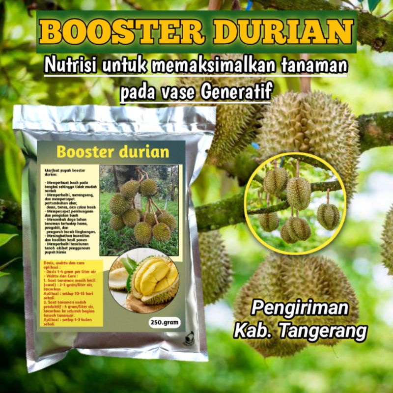 Jual Pupuk booster durian perangsang bunga dan pelebat buah anti rontok kemasan 250 gram bisa ...