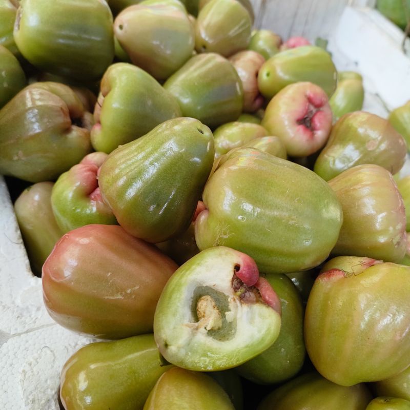 Jual BUAH JAMBU HIJAU DEMAK 1KG / JAMBU AIR DEMAK MANIS BERAIR | Shopee ...