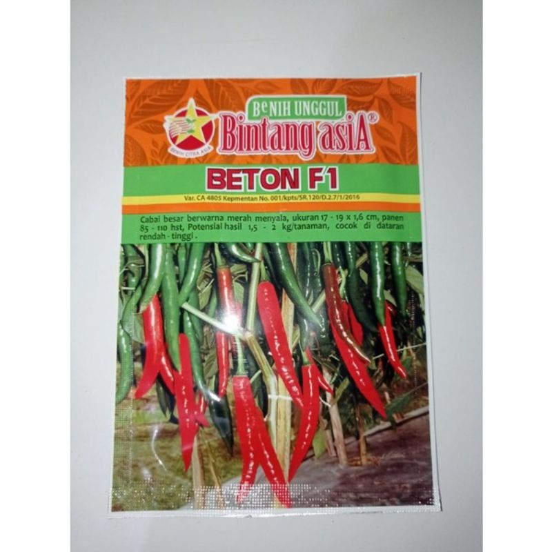 Jual PROMO - BENIH CABAI MERAH BESAR BETON F1 - BIBIT PLOMPONG BINTANG ...