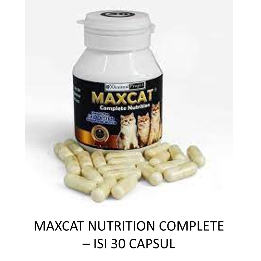 Jual VITAMIN KUCING NAFSU MAKAN KURUS OBAT GEMUK KUCING PENGGEMUK SEHAT ... Jual VITAMIN KUCING NAFSU MAKAN KURUS OBAT GEMUK KUCING PENGGEMUK SEHAT ...