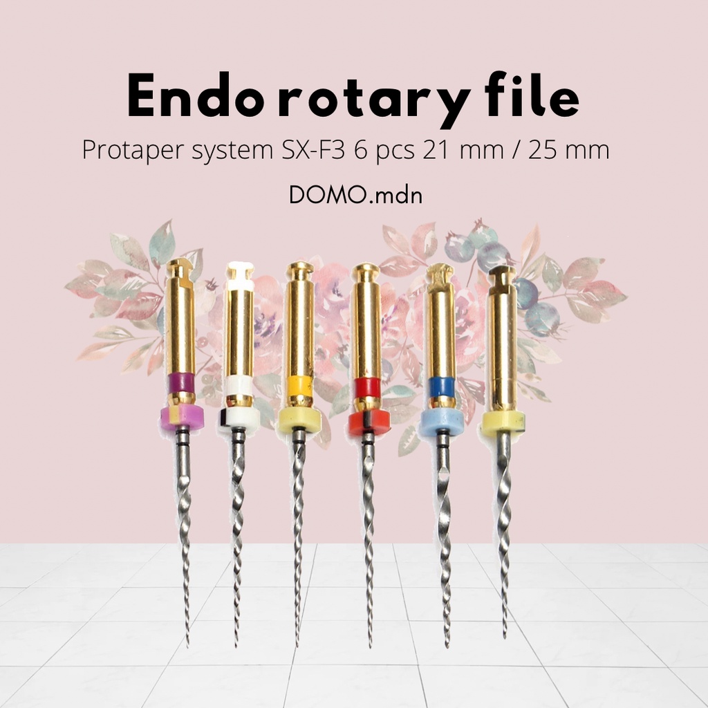 Jual DENTSPLY PROTAPER SYSTEM SX-F3 ENDOMOTOR ROTARY FILES 21 mm 25 mm ...