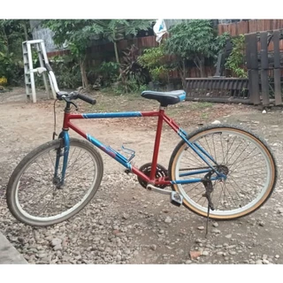 Jual Sepeda Fixie Terlengkap & Harga Terbaru Juni 2024 | Shopee Indonesia