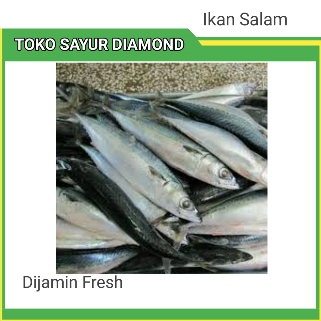 Jual Ikan Salam Fresh - Toko Sayur Diamond Palembang | Shopee Indonesia
